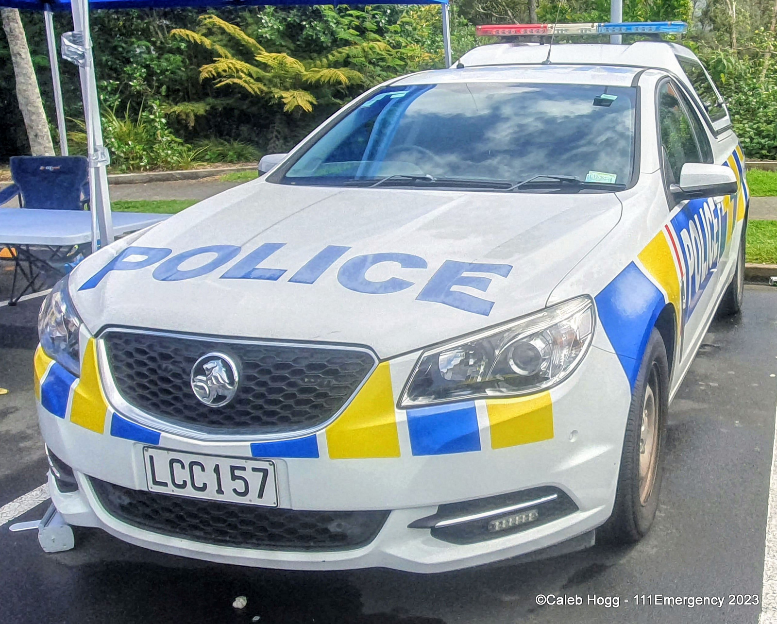 NZ POLICE DOGS - "DELTA'S"